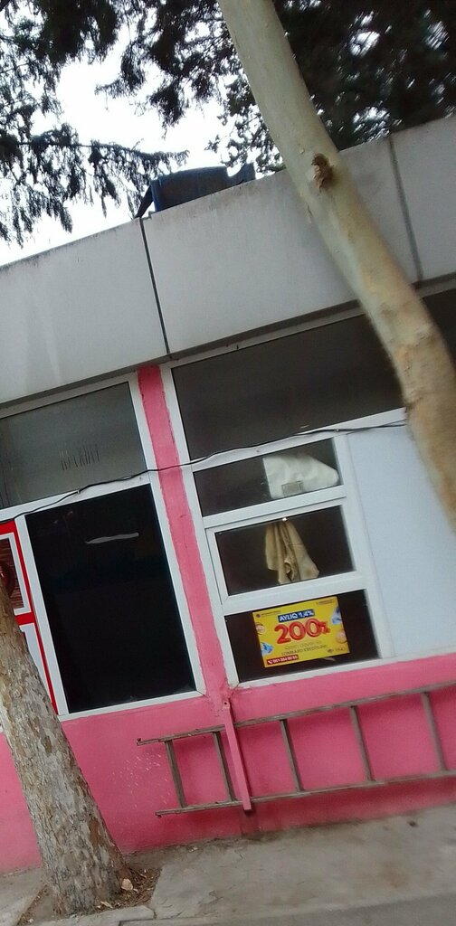 Fast food Əl Üstü, Mingeçevir, foto