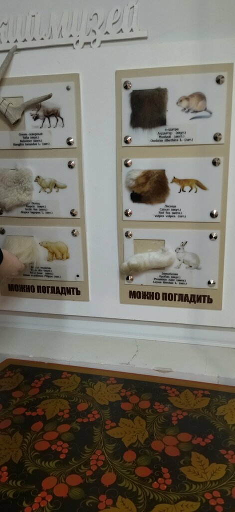 Anaokulları Детский сад № 43 Чебурашка, Saha Cumhuriyeti (Yakutistan), foto