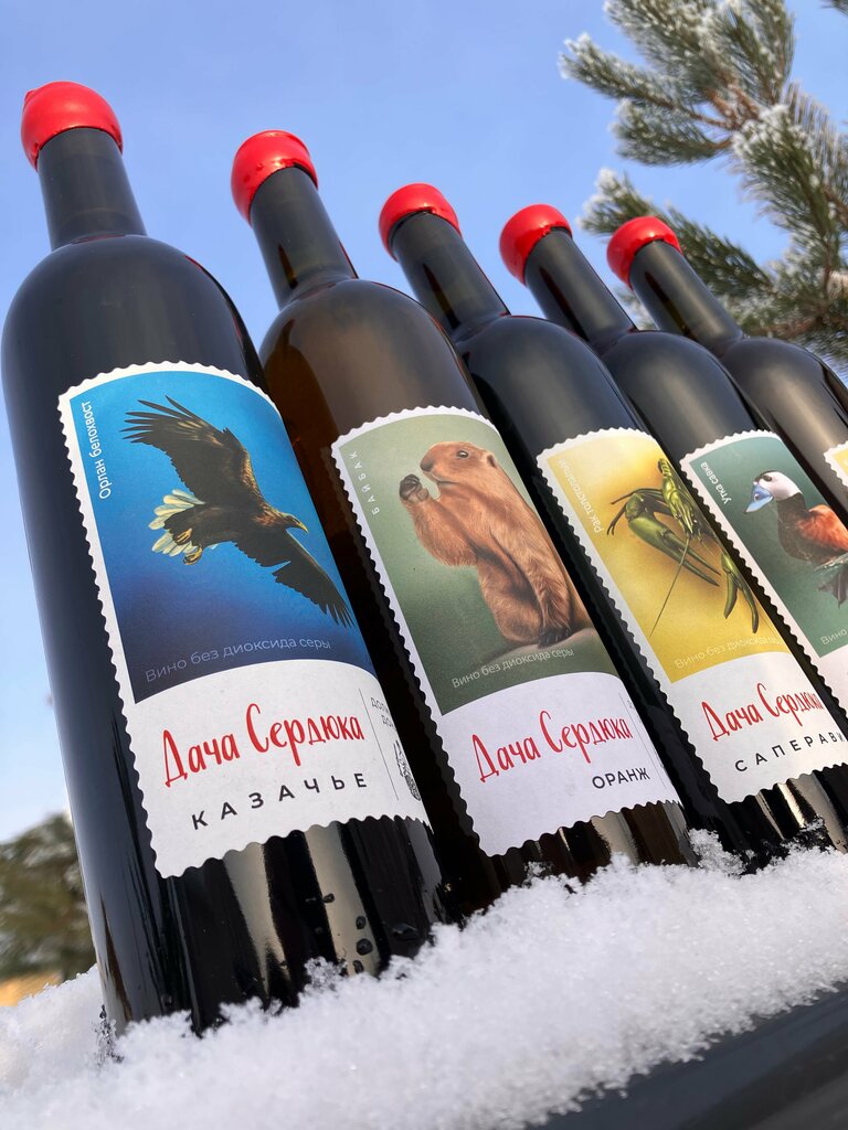 Şaraphane Дача Сердюка, Novoçerkassk, foto