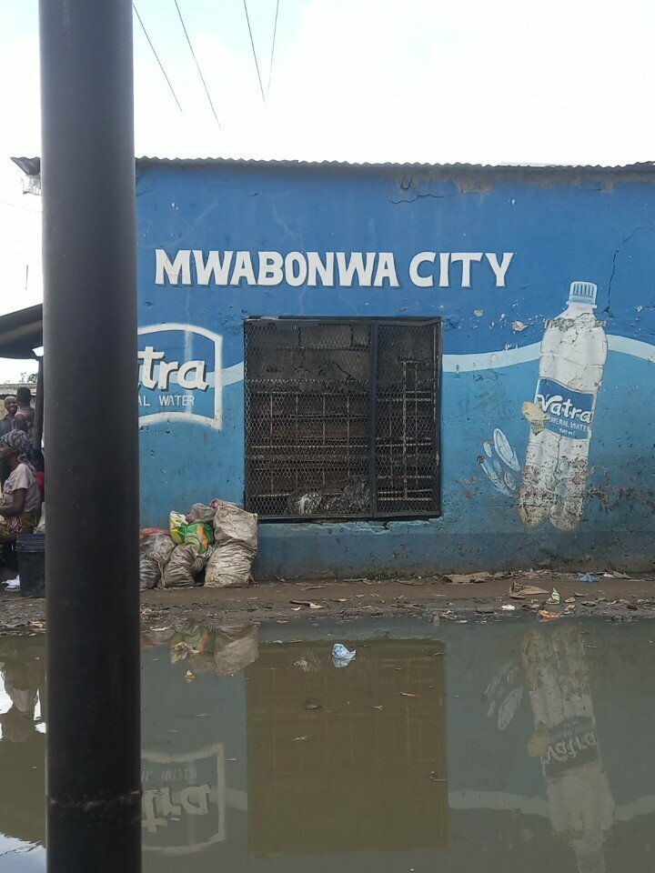 Market Mwabonwa Grocery, Lusaka, foto
