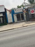 Canilande (Abidjan, Rue E137), petshop  Abican'dan