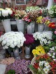 Floks Flowers (Kuybysheva Street No:73А), çiçekçiler  Samara'dan