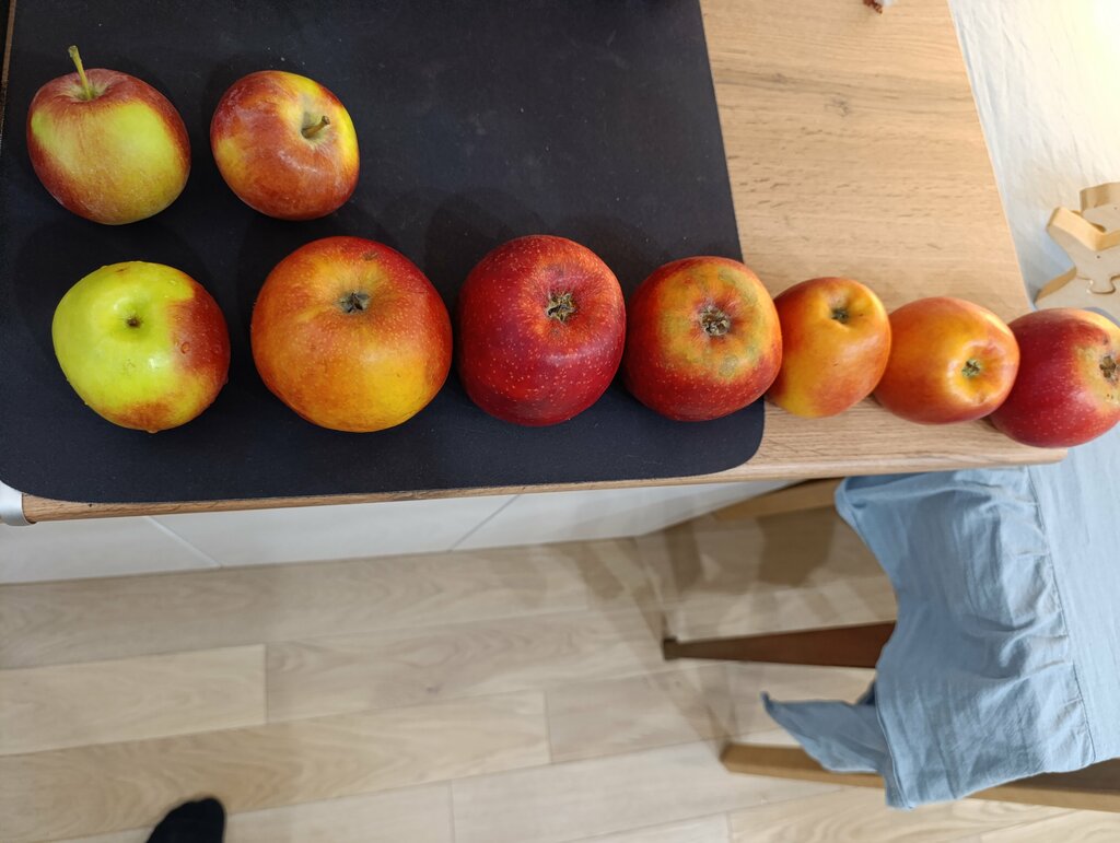 Manavlar Фрукты ВО!, Saint‑Petersburg, foto