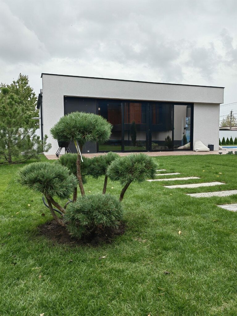 Peyzaj tasarımı Поливком, Armavir, foto