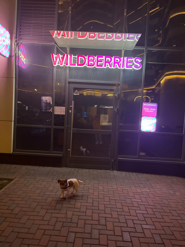 Teslimat noktası Ozon, Moskova, foto