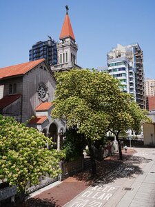 St. Teresa's Church (Hong Kong, Kowloon City District), katolik kiliseleri  Kowloon'dan