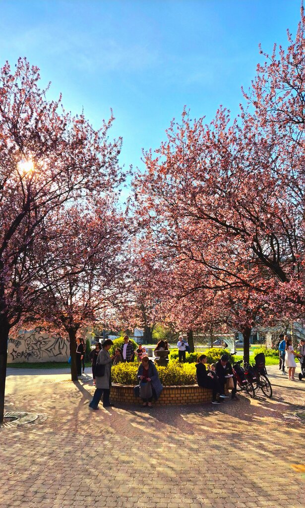 Kültür ve eğlence parkları plac Kasztelański, Varşova, foto