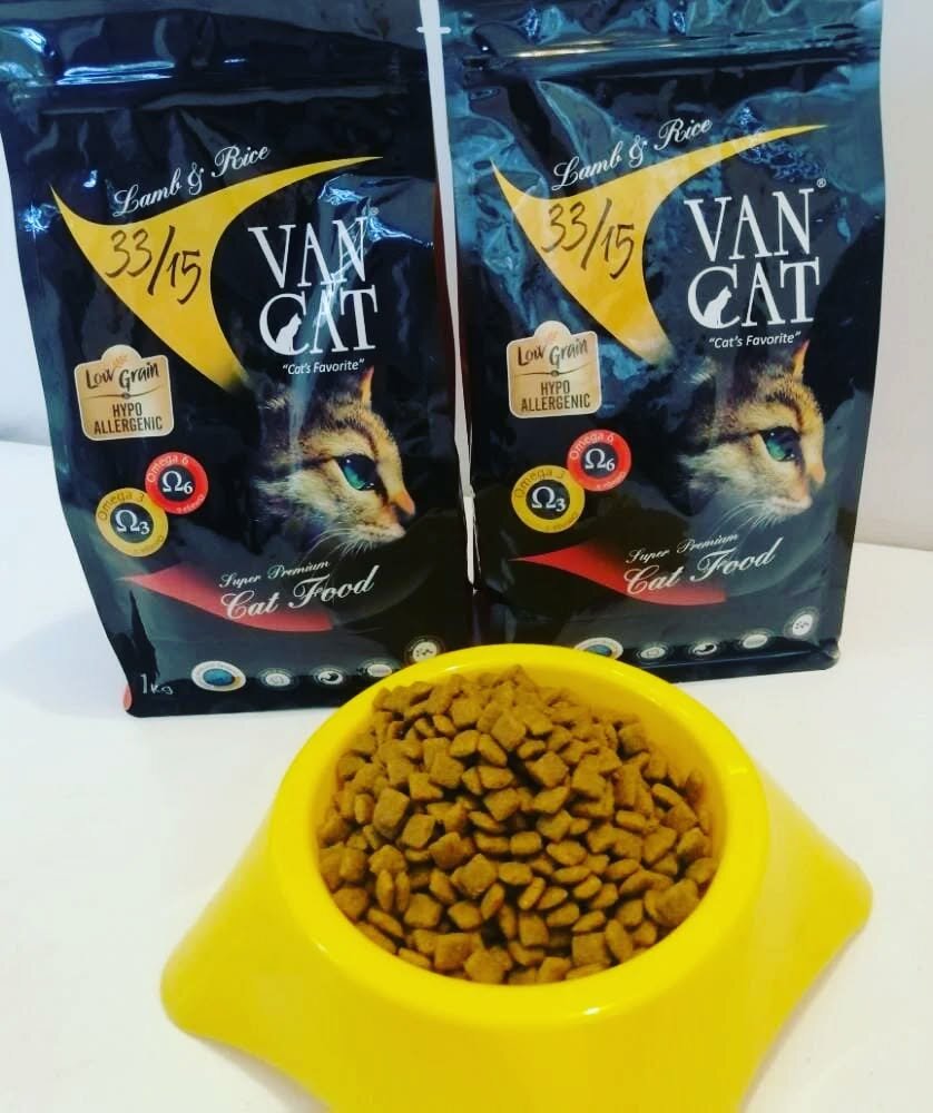 Petshop Aslan Petshop, İstanbul, foto