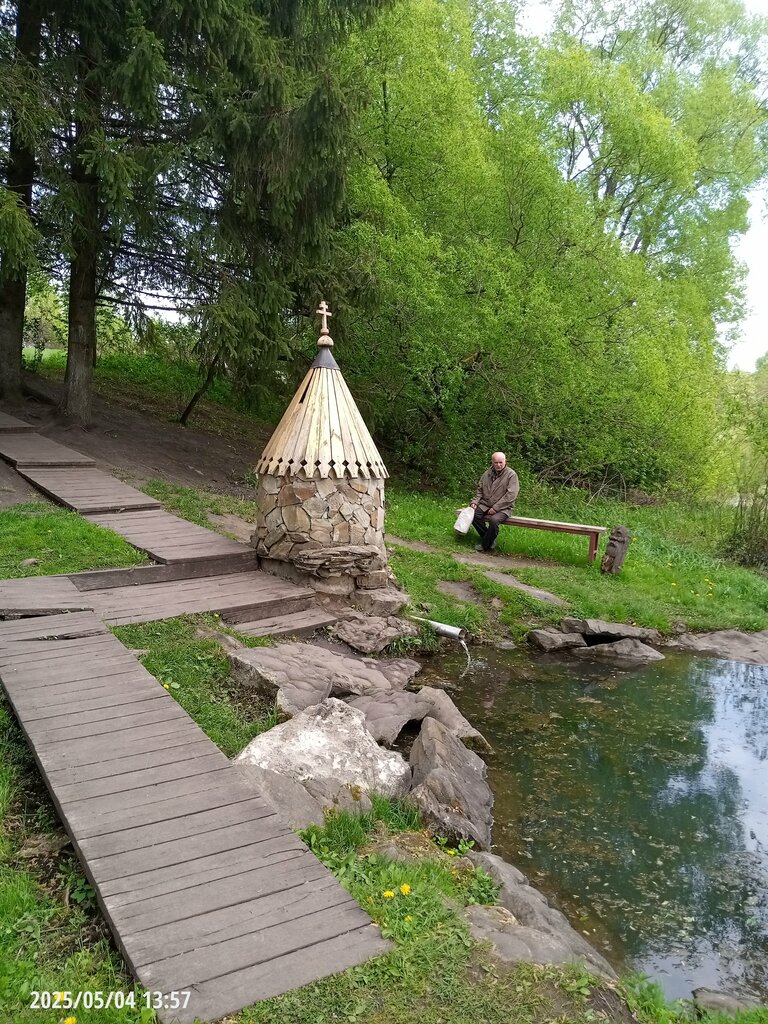 Pınar, çay Исток реки Оки, Orlovskaya oblastı, foto