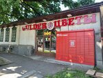 Laleli (Adölf Ianushkevıch kóshesi No:25), çiçekçiler  Almatı'dan