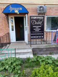 Diva (Frunze Street No:41), güzellik salonu  Kolomna'dan