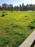 Çiğli Devlet Hastanesi Diyaliz Merkezi (İzmir, Çiğli, Egekent Mah., 8845/2. Sok.), diyaliz merkezi  İzmir'den