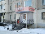 Aliya (No:1, 6-shy shaǵyn aýdan), market  Kostanay'dan