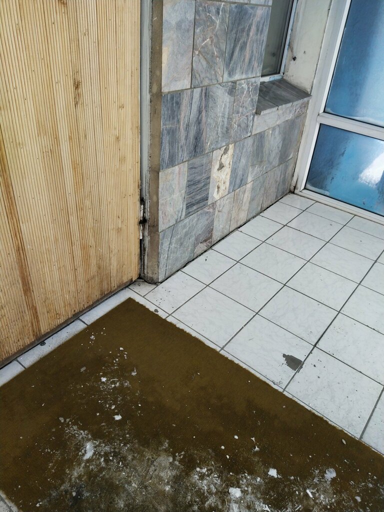 Sivil toplum kuruluşları Ahau Semey, Center for Preservation of National Cultural Values, Semey, foto