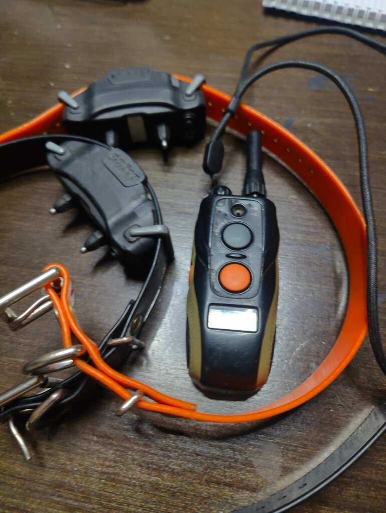 Petshop Dogtra, Moskova, foto