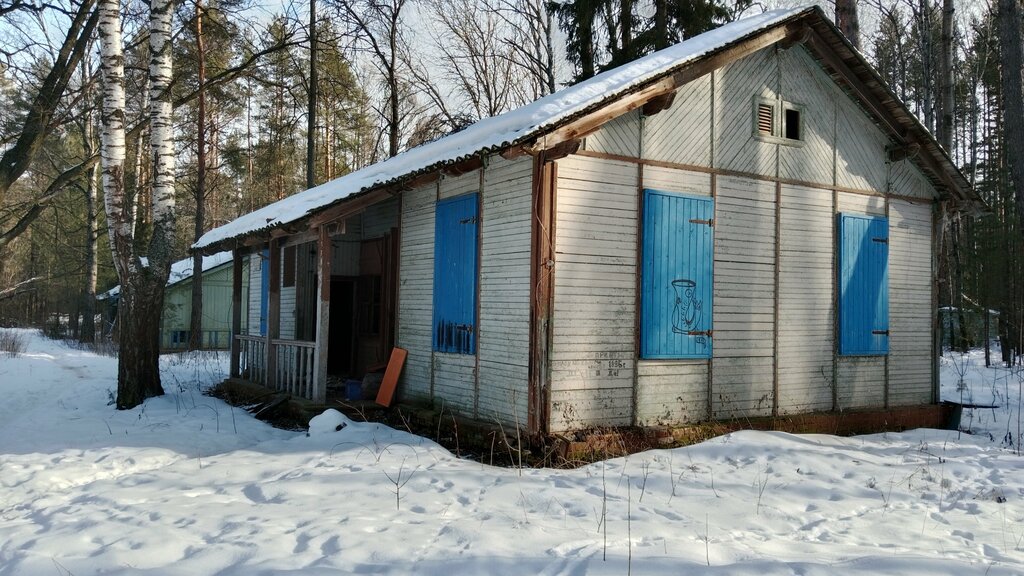 Yaz kampı Пионерский лагерь им. Комарова, Nijni Novgorod, foto