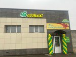 6 Соток (vulica 50 god ULKSM No:35), bahçecilik mağazaları  Bobruisk'ten