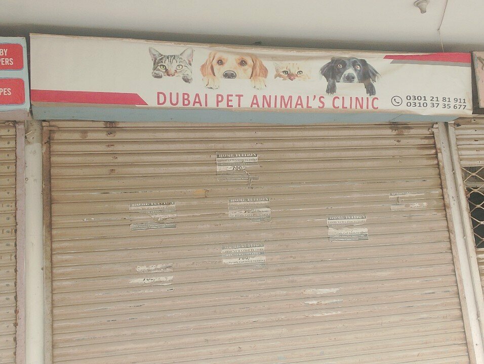 Veteriner klinikleri Dubai pet animal, Karaçi, foto