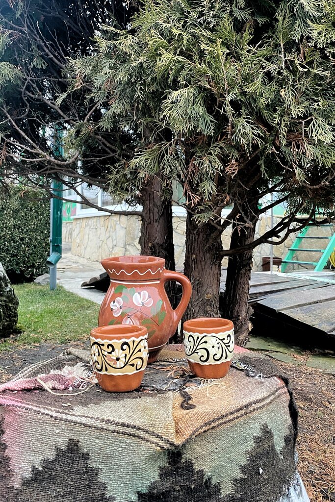 Resort oteller, tesisler Pensiunea Turistică, Doina și Ion, Ialoveni Bölgesi, foto