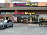 Tavuk Dünyası (İstanbul, Avcılar, Tahtakale Mah., Faruk Nafiz Çamlıbel Cad., 2T), restoran  İstanbul'dan