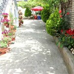 Dzhulyetta (Darvina Street No:57/2), resort oteller, tesisler  Soçi'den