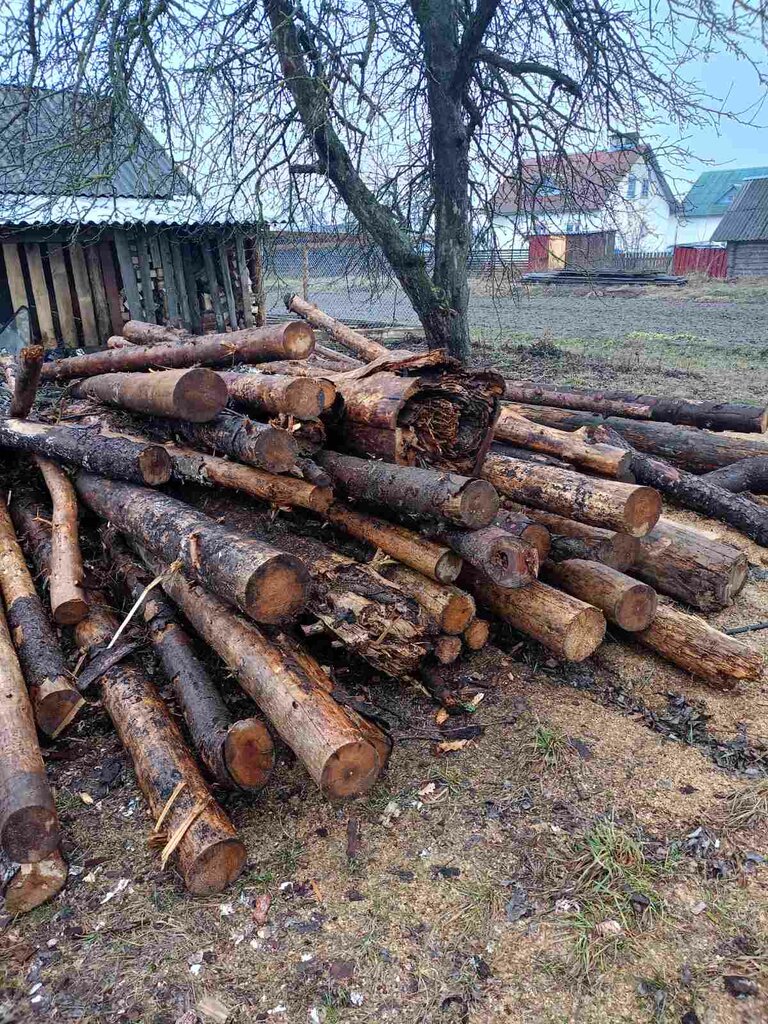 Kömür firmaları Obltoplivo Mkoupp Glussky Raytopsbyt filial, Mogiliovskaya oblastı, foto