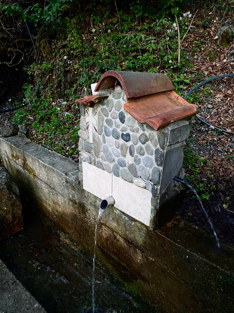 Pınar, çay Spring, stream, Soçi, foto