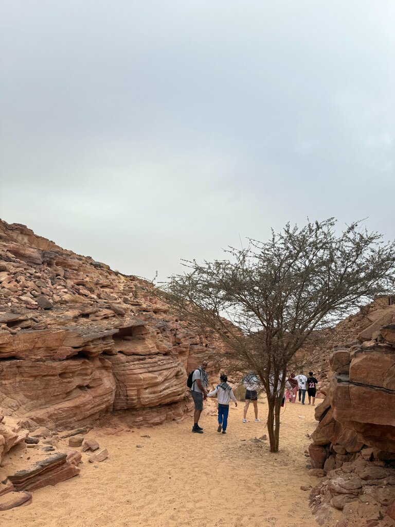 Geziler Миша Туры, Şarm El‑Şeyh, foto