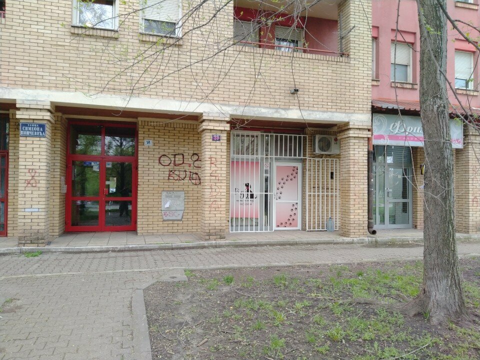Güzellik salonu Salon za sisanje pasa Bigi, Novi Sad, foto