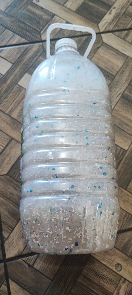 Petshop Cat's Litter, Rostov‑na‑Donu, foto