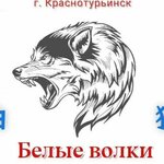 Wtite Wolves (ulitsa Karpinskogo No:4), spor kulüpleri  Krasnoturyinsk'ten