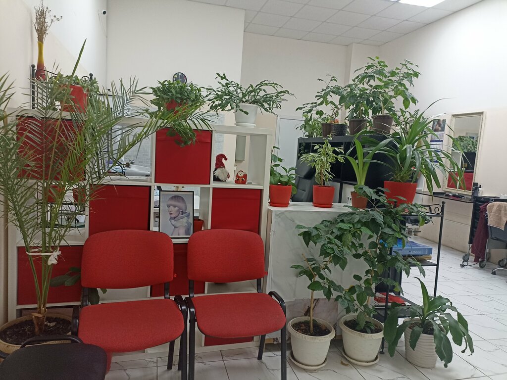 Kuaförler Парикмахерская, Samara, foto