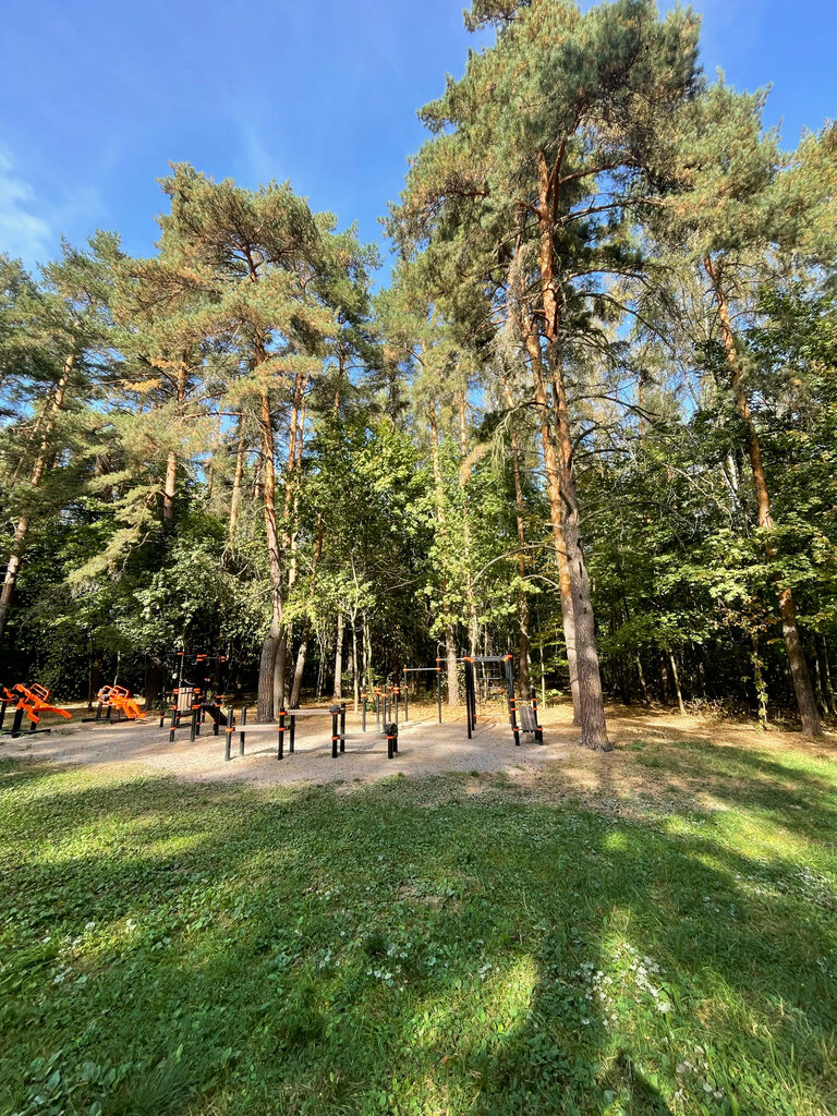 Spor alanı Sports ground, Moskova ve Moskovskaya oblastı, foto
