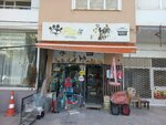 Pati Pet Shop (İzmir, Karabağlar, Ali Rıza Avni Blv., 24B), petshop  İzmir'den