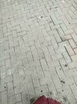 Can Otomotiv (Bursa, Osmangazi, Bağlarbaşı Mah., 1. Osmangazi Cad., 4A), otomobil servisi  Bursa'dan