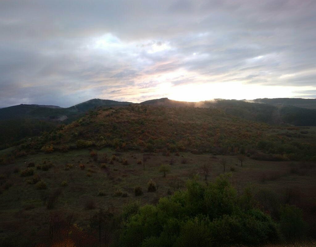 Muhtarlıklar Çaltı Köyü Muhtarlığı, Ayvacık, foto