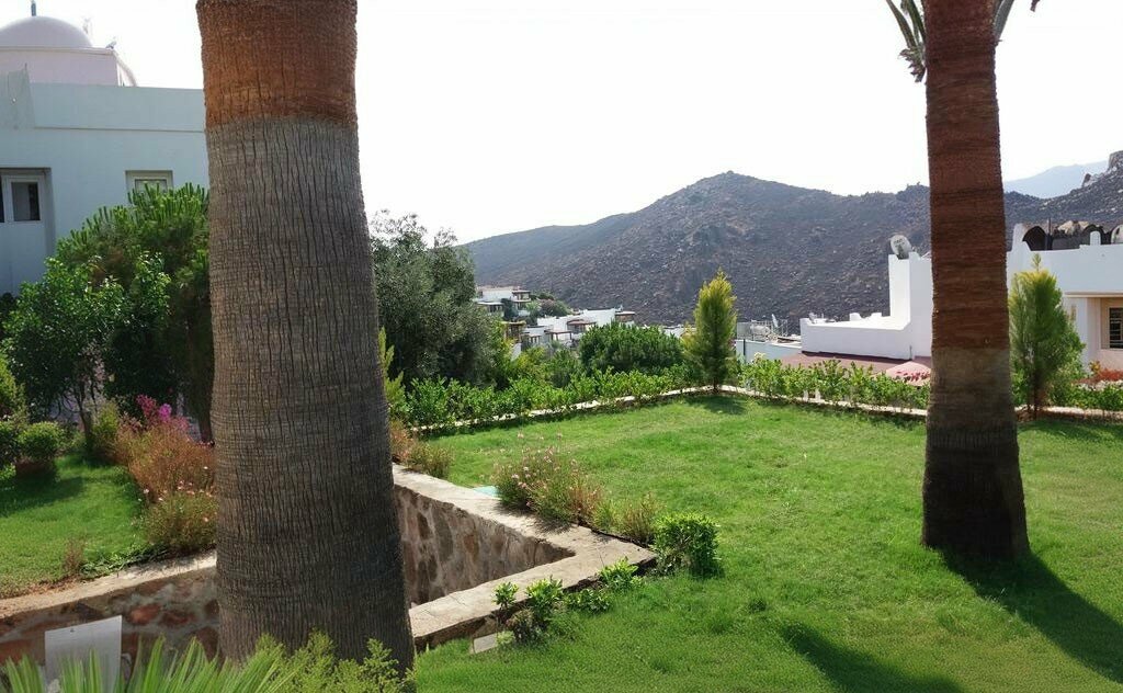 Dondurmacılar Ardo Doğal Dondurma, Bodrum, foto