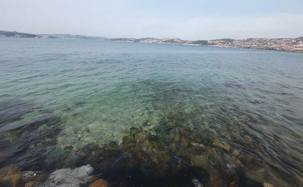 Plaj Paşabahçe Plajı, Dünya, foto