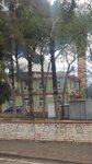 Çınarlı Cami (Denizli, Sarayköy, Aşağı Mah., Doktor Mustafa Celal Karaca Cad., 97), cami  Sarayköy'den
