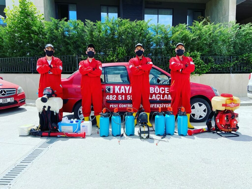 Haşere ilaçlama firmaları Kaya Duru İlaçlama, Ankara, foto