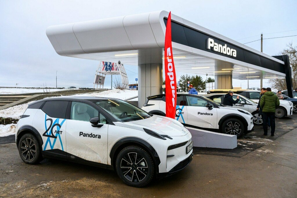 Elektrikli oto şarj istasyonları Pandora Ev, Kaluga, foto