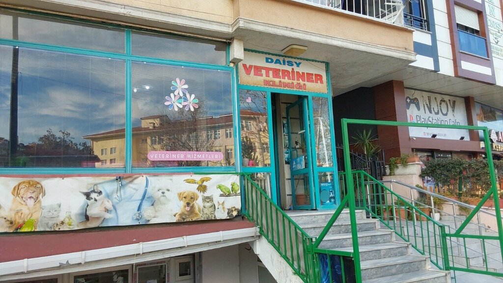 Veteriner klinikleri Daisy Veteriner Kliniği, İstanbul, foto