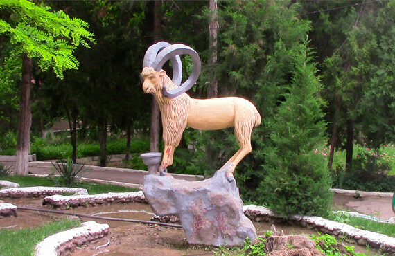 Termal otel Botanika Sanatorium Administration, Taşkent eyaleti, foto