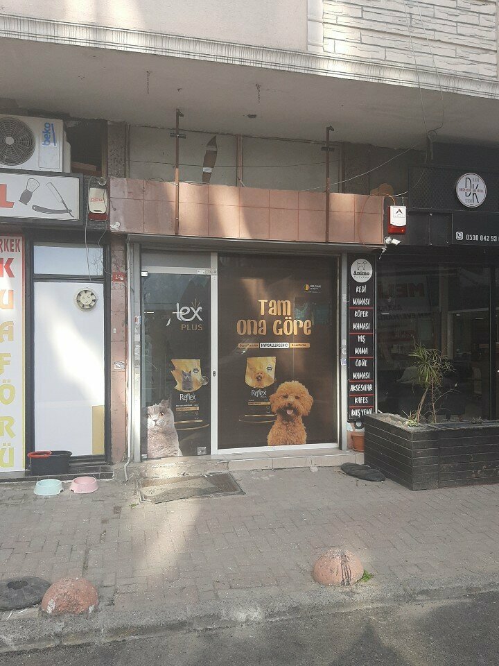 Petshop Animo, İstanbul, foto