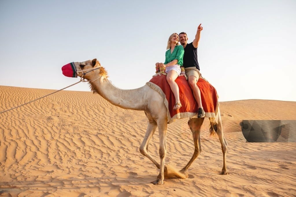 Seyahat acenteleri Wonder Destinations Travels, Dubai, foto