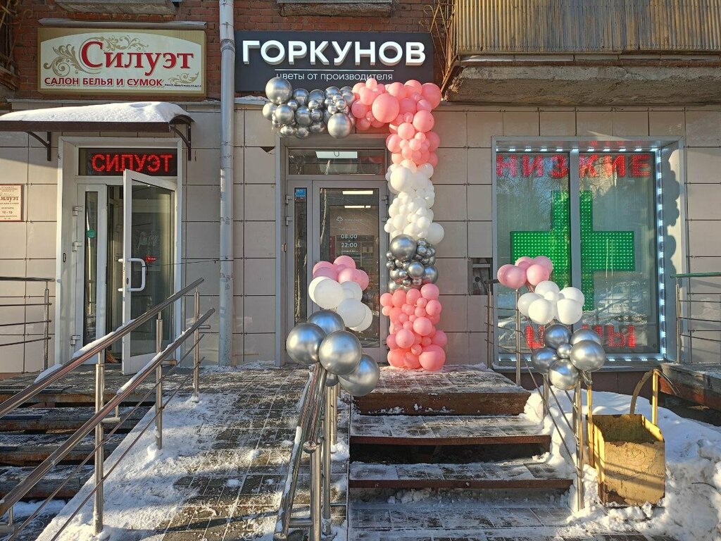 Çiçekçiler Горкунов, Novosibirsk, foto