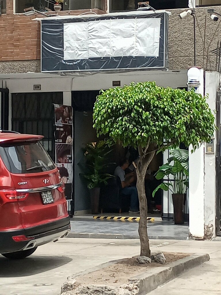 Berberler The Forest Barber, Lima, foto