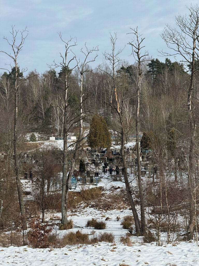 Mezarlıklar Viazynskija mogilki, Minskaya oblastı, foto