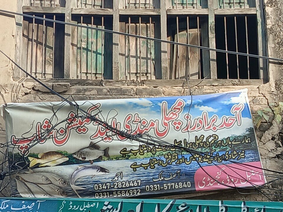Balık ve deniz ürünleri Ahad brothers machli mandi communication shop, Rawalpindi, foto