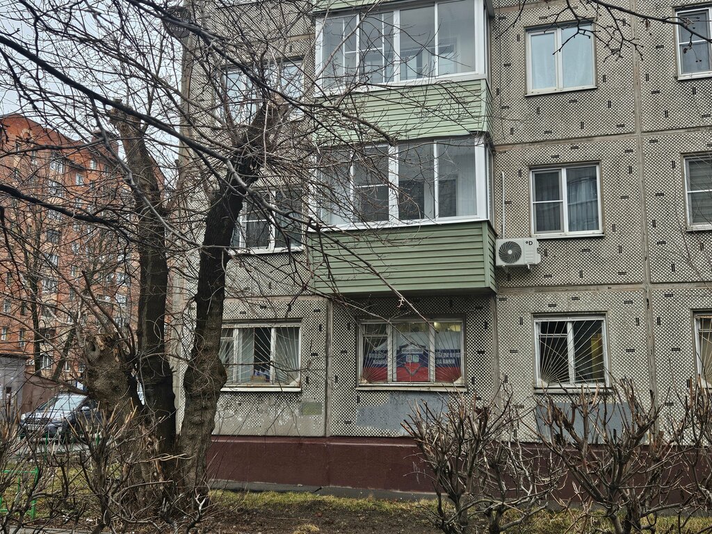 Sivil toplum kuruluşları СвоихНеБросаем, Tula, foto